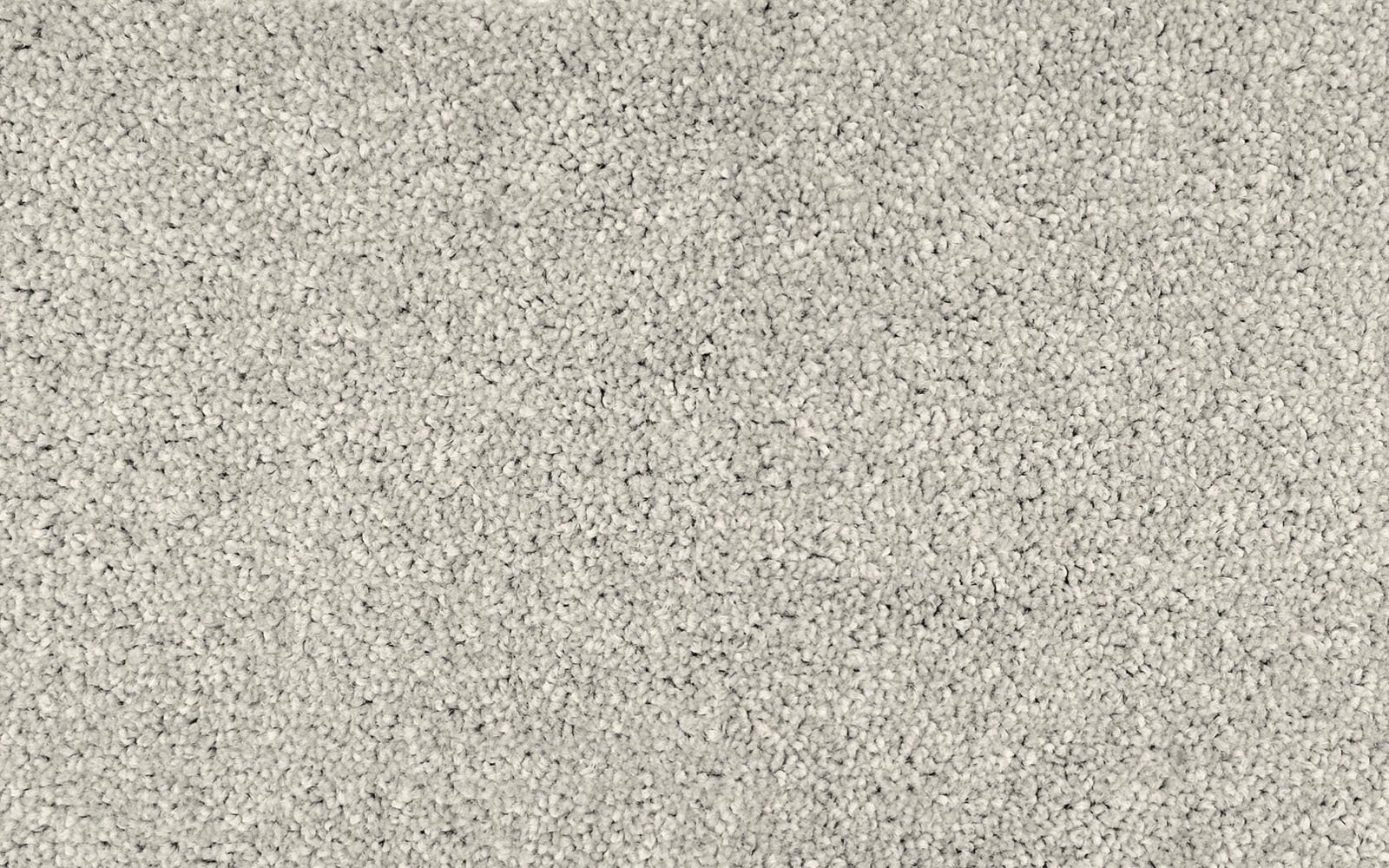 EVOLUTION PLAIN - danfloor