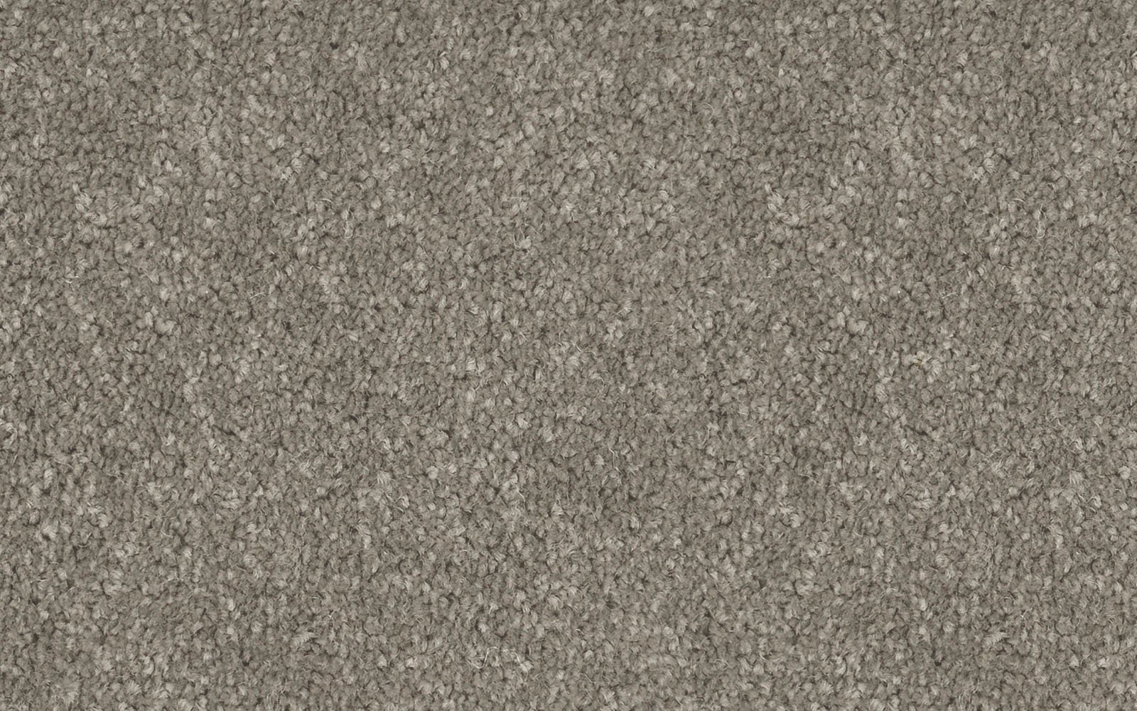 EVOLUTION PLAIN - danfloor