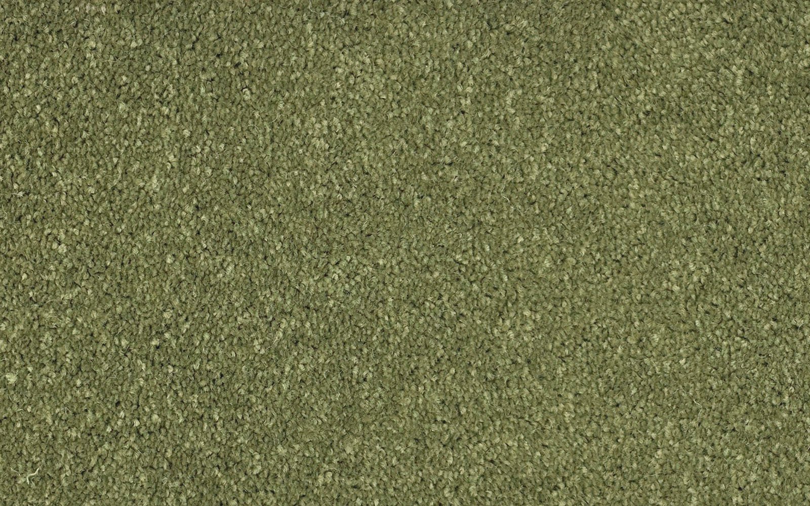 EVOLUTION PLAIN - danfloor