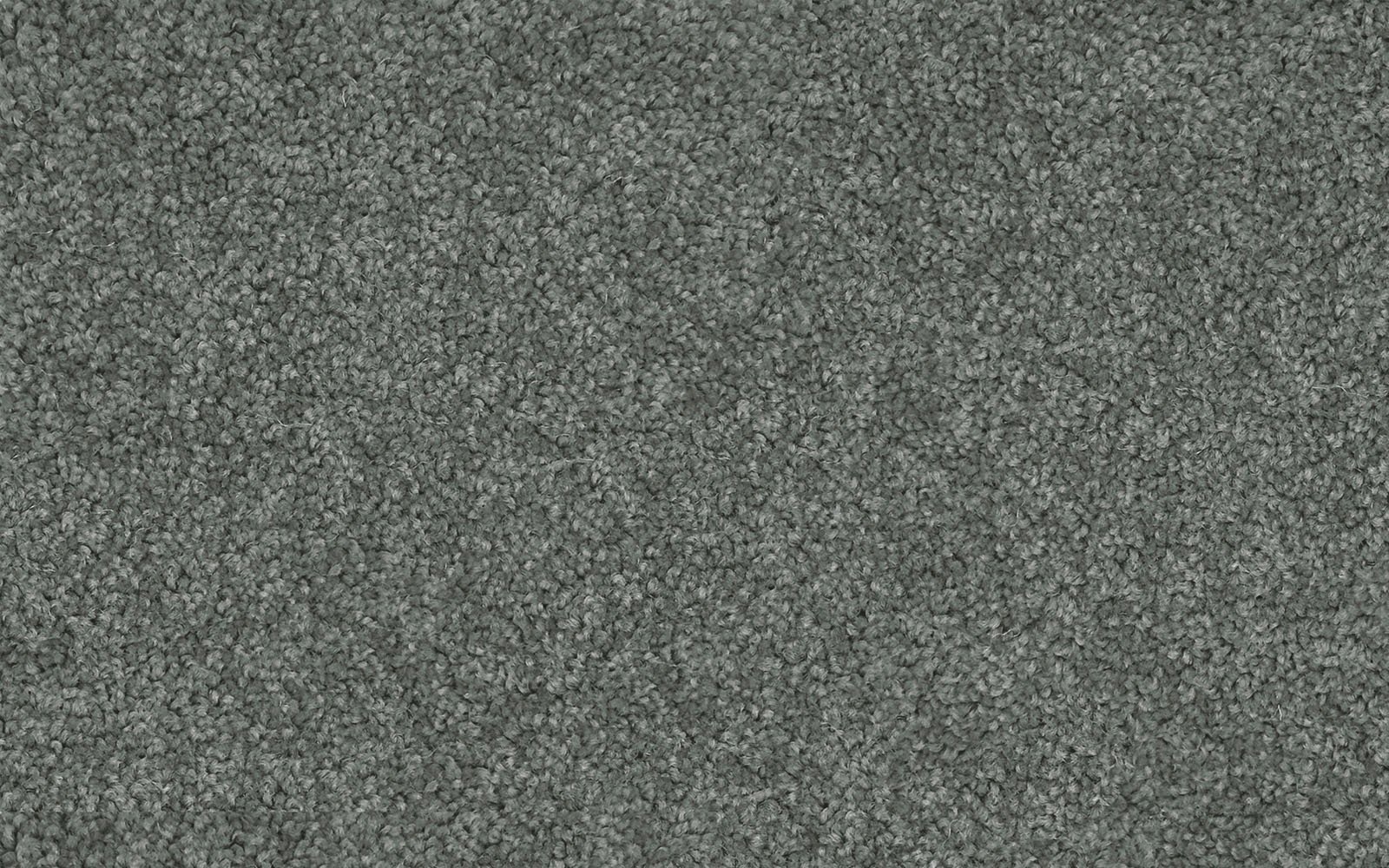 EVOLUTION PLAIN - danfloor