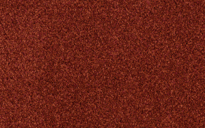 danfloor - Equinox Tones